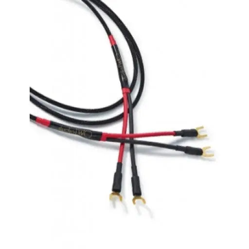 Audience Studio TWO Bi-Wire Cable – Schroeder HiFi